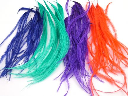 Natural & Dyed Feathers UK - The Feather Factory