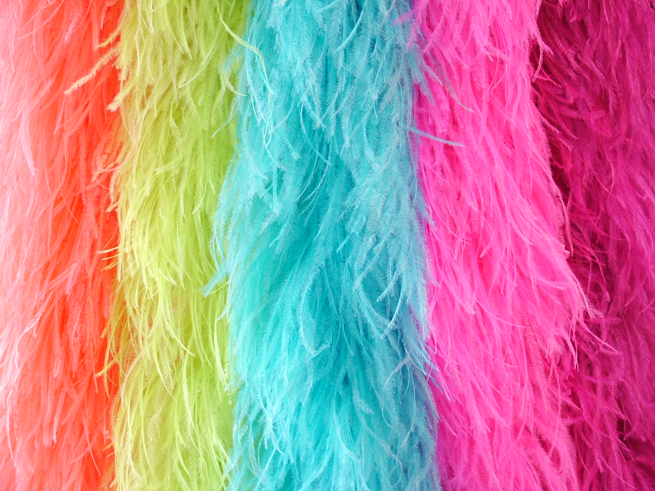 About Feather Factory - UK Feather Suppliers For Hats, Crafts & Fashion