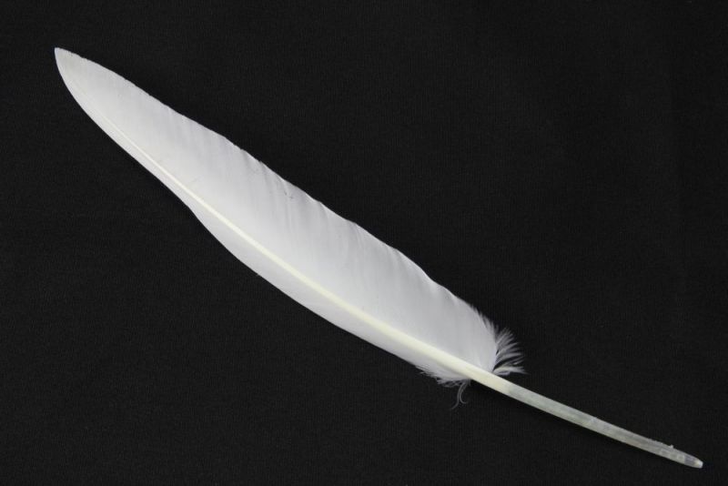 Goose Feather Deluxe Ballpoint Pen Gift Set