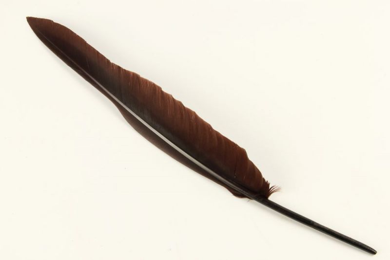Goose Feather Deluxe Ballpoint Pen Set