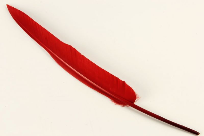 Goose Feather Deluxe Ballpoint Pen Set