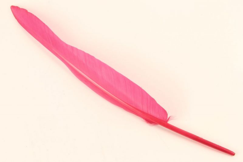 Goose Feather Deluxe Ballpoint Pen Set