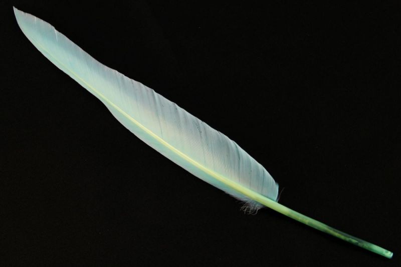 Goose Feather Deluxe Ballpoint Pen Gift Set