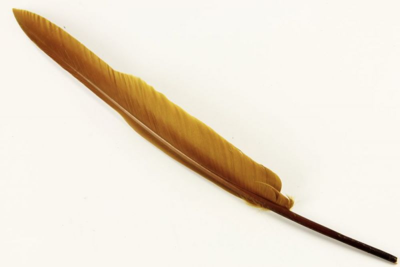 Goose Feather Deluxe Ballpoint Pen Set