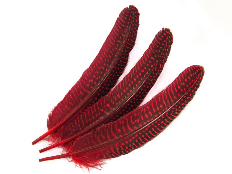 Dyed Guinea Fowl Feather Quill (Pack of 5)