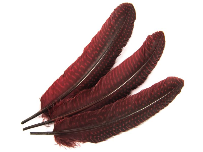 Dyed Guinea Fowl Feather Quill (Pack of 5)