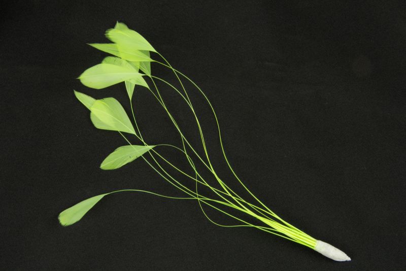 Teardrop or stripped coque for giving movement to hats and fascinators