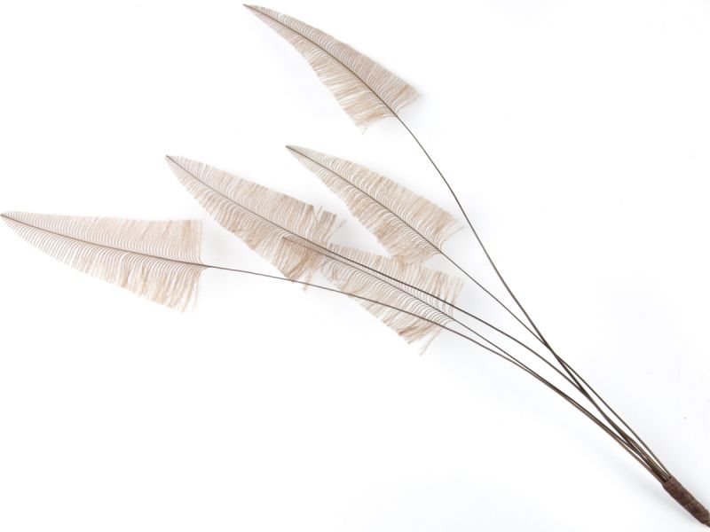 Stripped Ostrich Feather spray for hats and fascinators