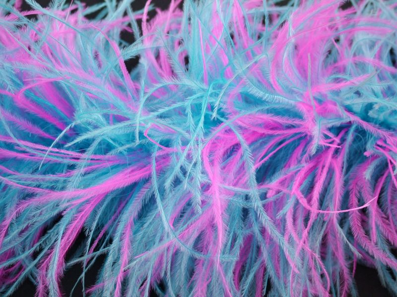 Feather Boas - Two-Tone Dyed Ostrich Feather Boa