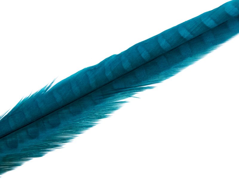 Pheasant Feather Pen Set