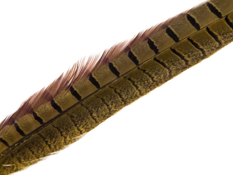 Pheasant Feather Pen Set