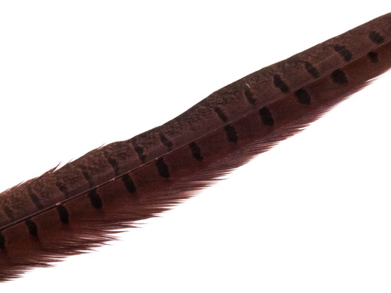 Pheasant Feather Pen Set