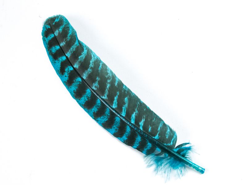 Feather Pens | Deluxe Dyed Turkey Feather Ballpoint