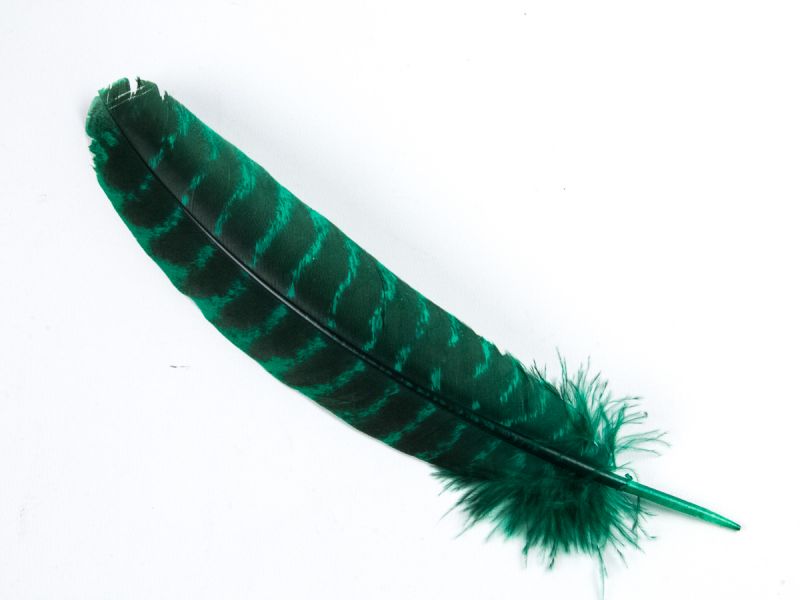 Feather Pens | Deluxe Dyed Turkey Feather Ballpoint
