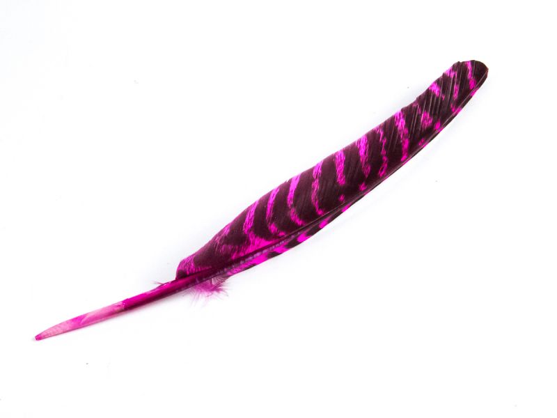 Zebra Pointer Pen, Naturally Striped Turkey wing feather with deluxe ...