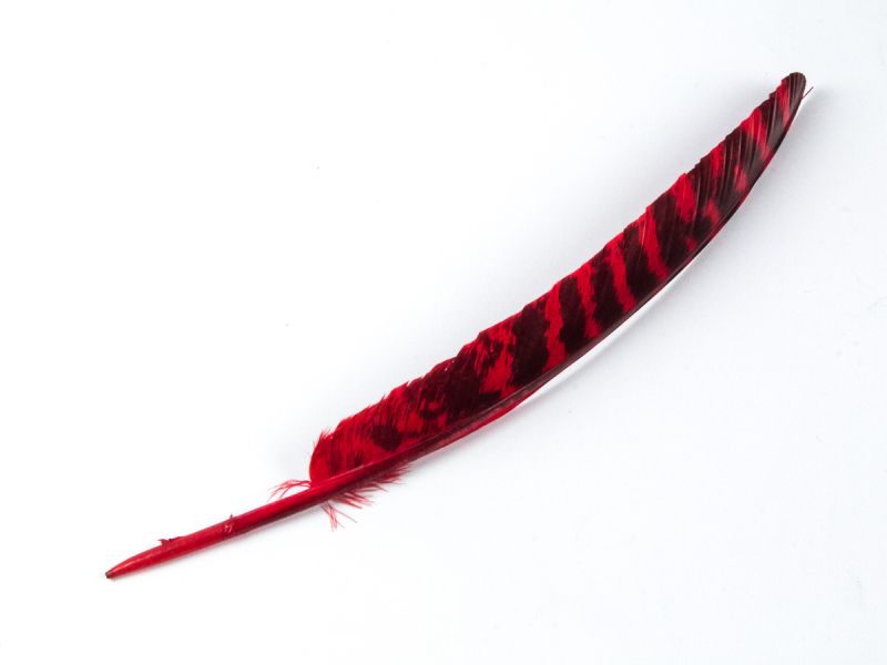 Zebra Pointer Pen, Naturally Striped Turkey wing feather with deluxe ...