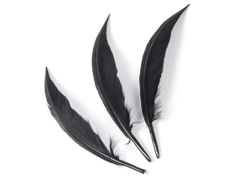 Dyed Goose Swords (Packs of 10)