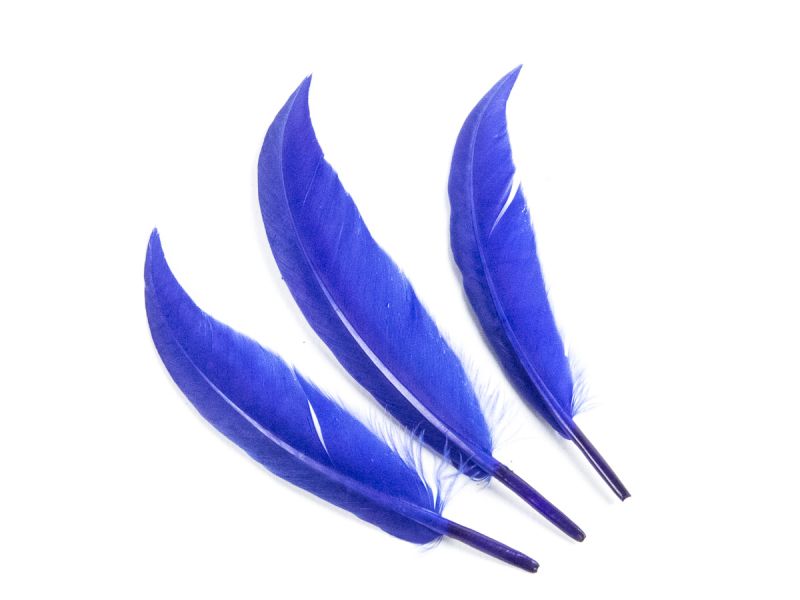 Dyed Goose Swords (Packs of 10)
