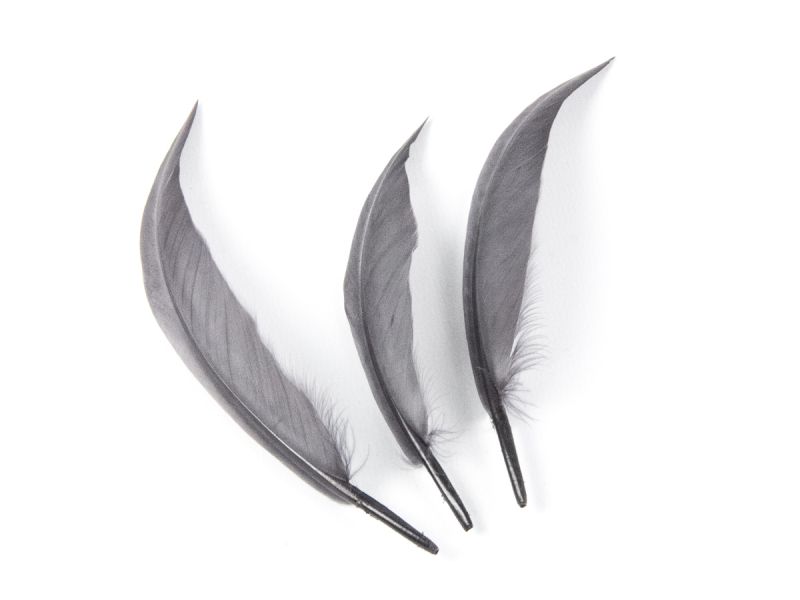 Dyed Goose Swords (Packs of 10)