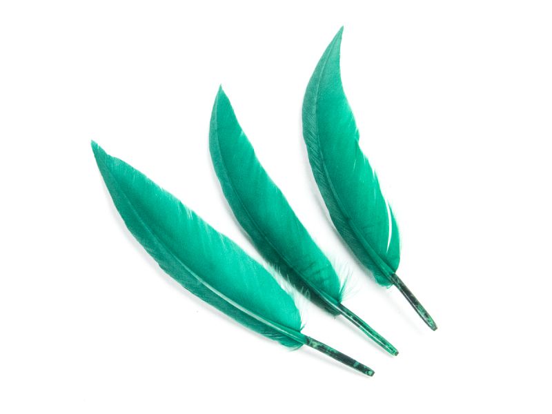 Dyed Goose Swords (Packs of 10)