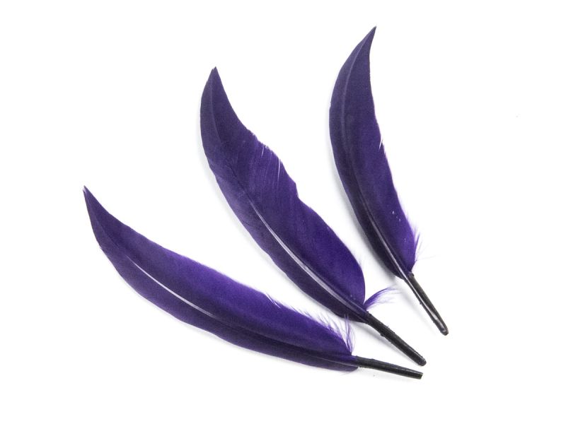 Dyed Goose Swords (Packs of 10)