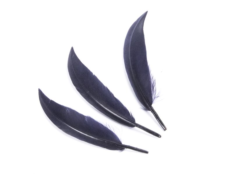 Dyed Goose Swords (Packs of 10)