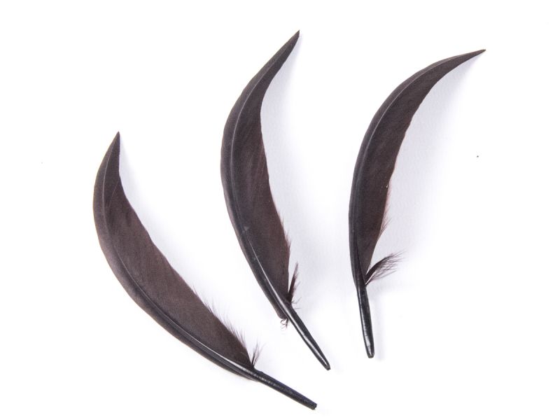 Dyed Goose Swords (Packs of 10)