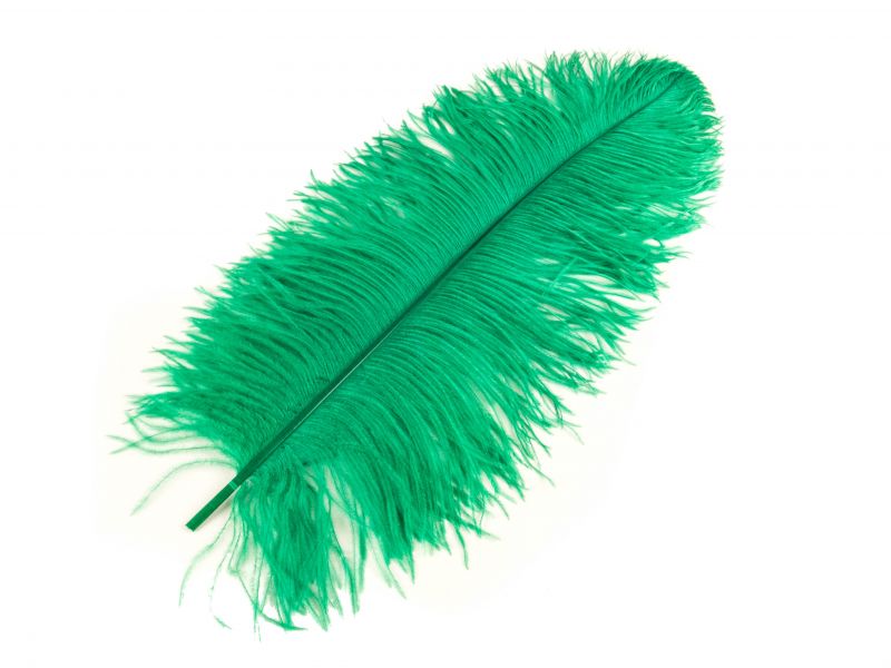 Extra Long Ostrich Premium Wing feathers