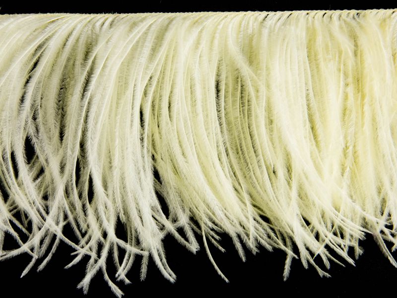 Ostrich Feather Fringe | Dyed Feather Carnival & Costume Fringes