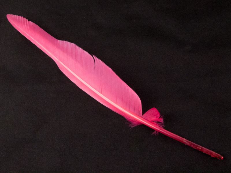 Feather Pens | Deluxe Goose Feather Ballpoint