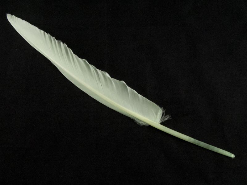 Feather Pens | Deluxe Goose Feather Ballpoint