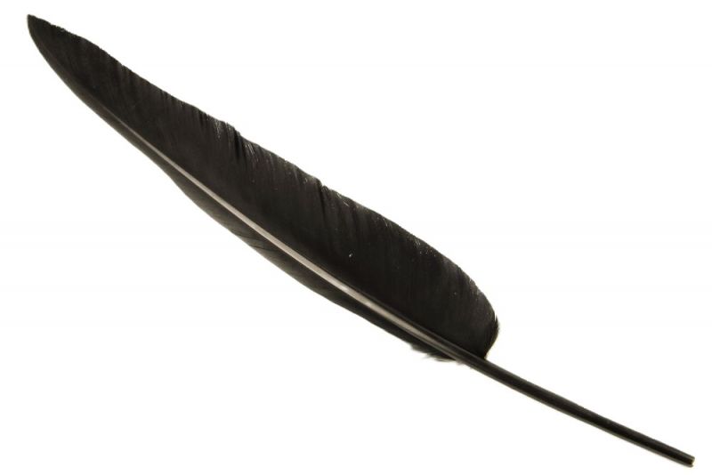 Feather Pens | Deluxe Goose Feather Ballpoint