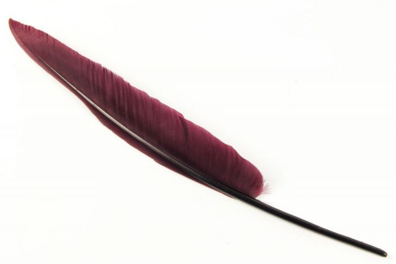 Feather Pens | Deluxe Goose Feather Ballpoint