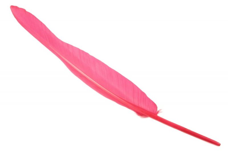 Feather Pens | Deluxe Goose Feather Ballpoint