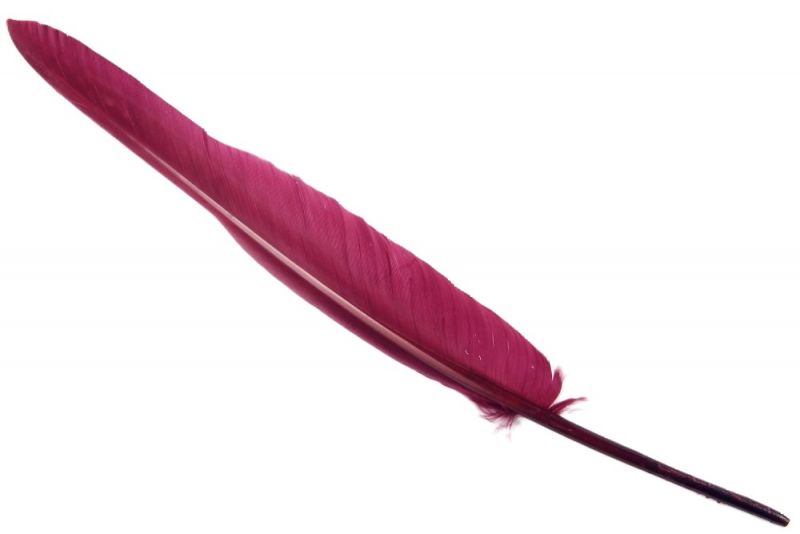 Goose Feather Pen Set