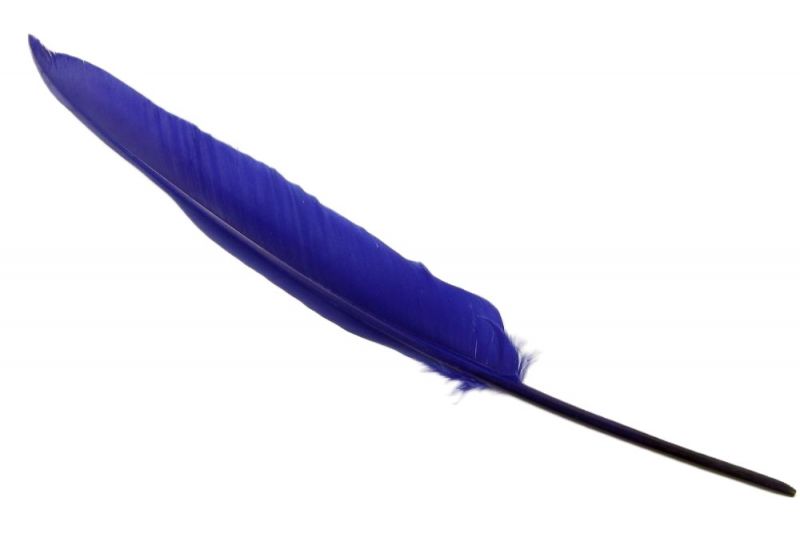 Feather Pens | Deluxe Goose Feather Ballpoint