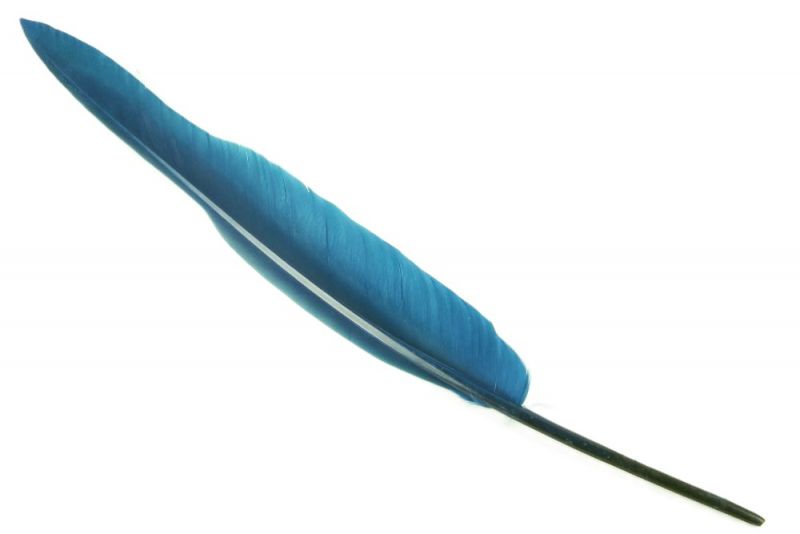 Feather Pens | Deluxe Goose Feather Ballpoint