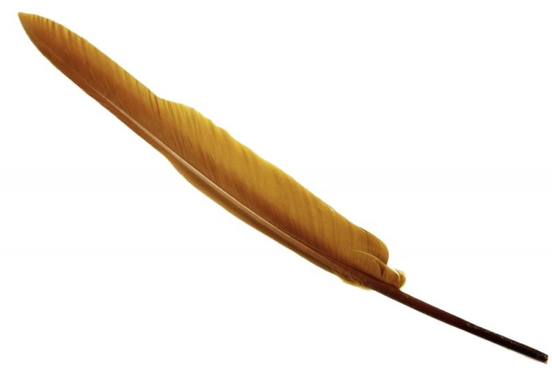 Feather Pens | Deluxe Goose Feather Ballpoint