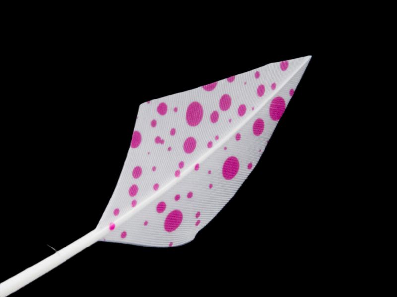 Printed Turkey Arrowheads