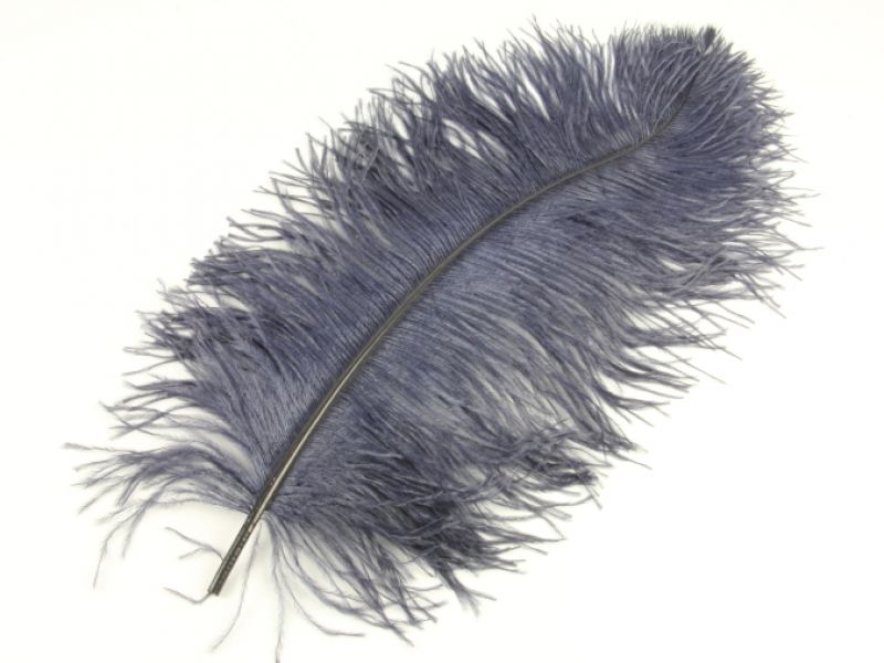 Extra Long Ostrich Premium Wing feathers