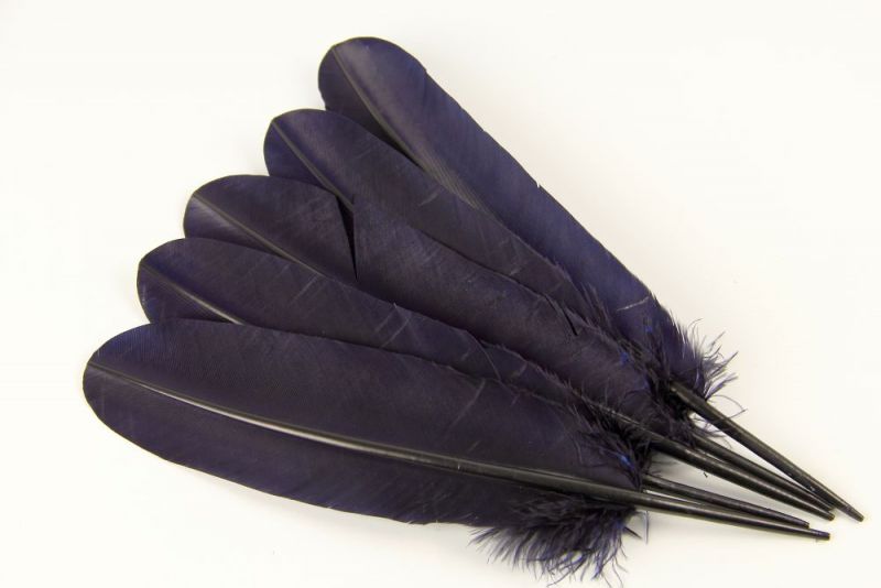 Feather Pens | Traditional Hand Cut Quill