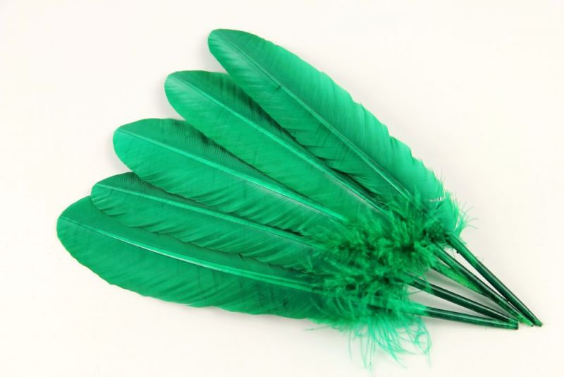 Feather Pens | Traditional Hand Cut Quill