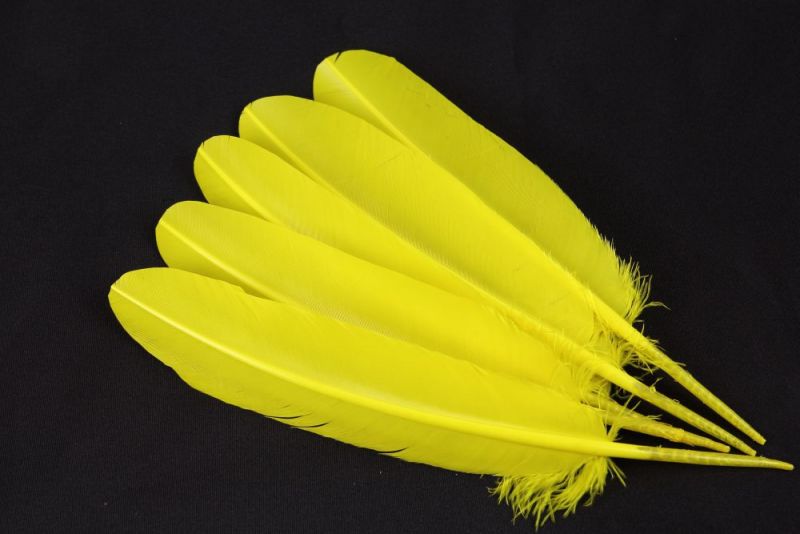 Feather Pens | Traditional Hand Cut Quill