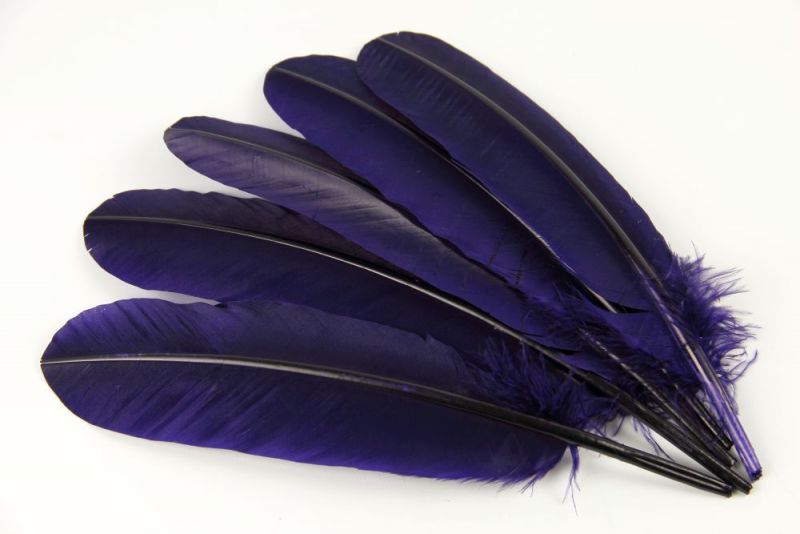 Feather Pens | Traditional Hand Cut Quill