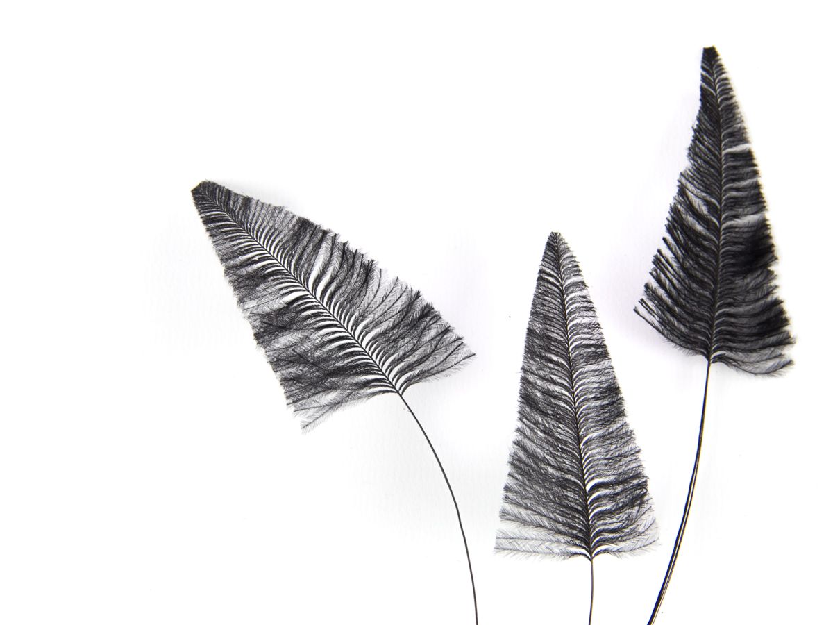 Mini Stripped Ostrich Spray