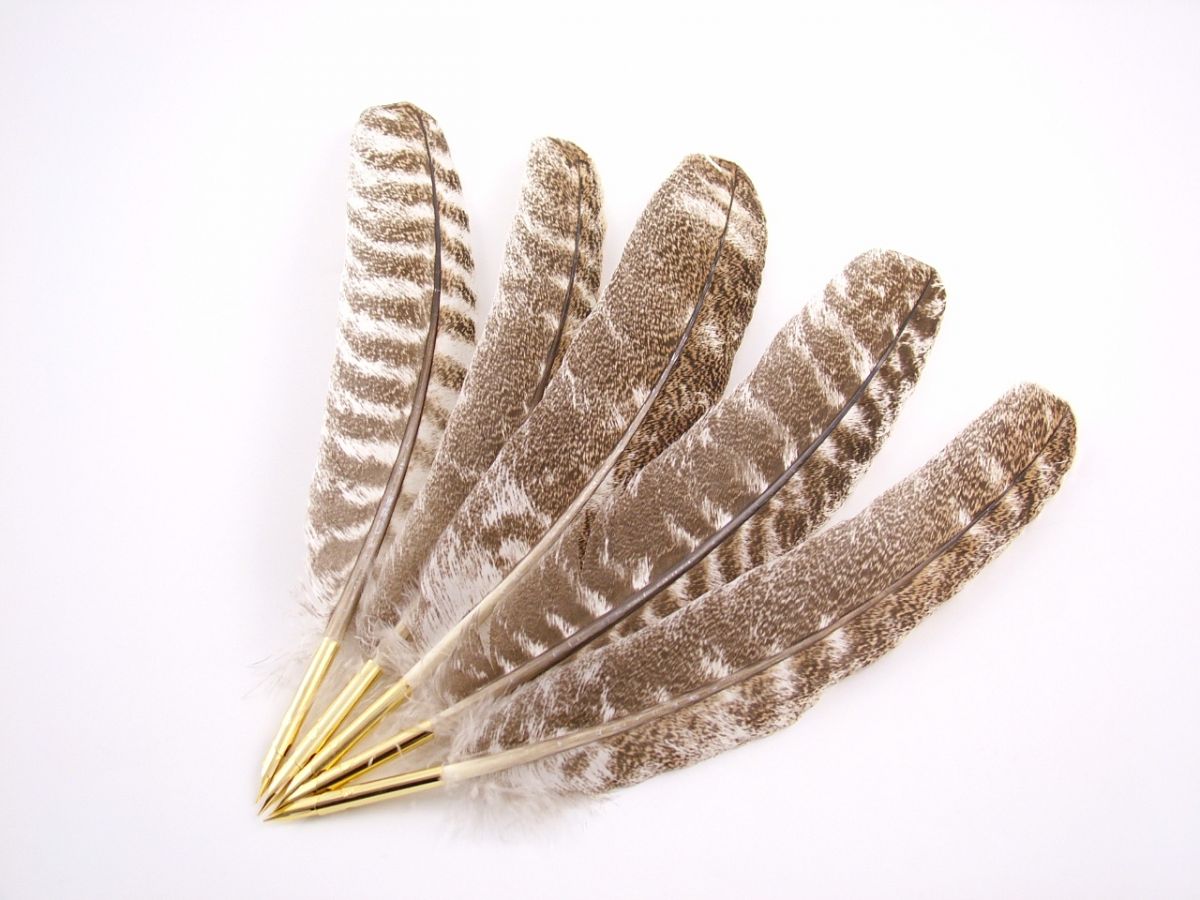 Feather Pens | Deluxe Natural Turkey Feather Ballpoint