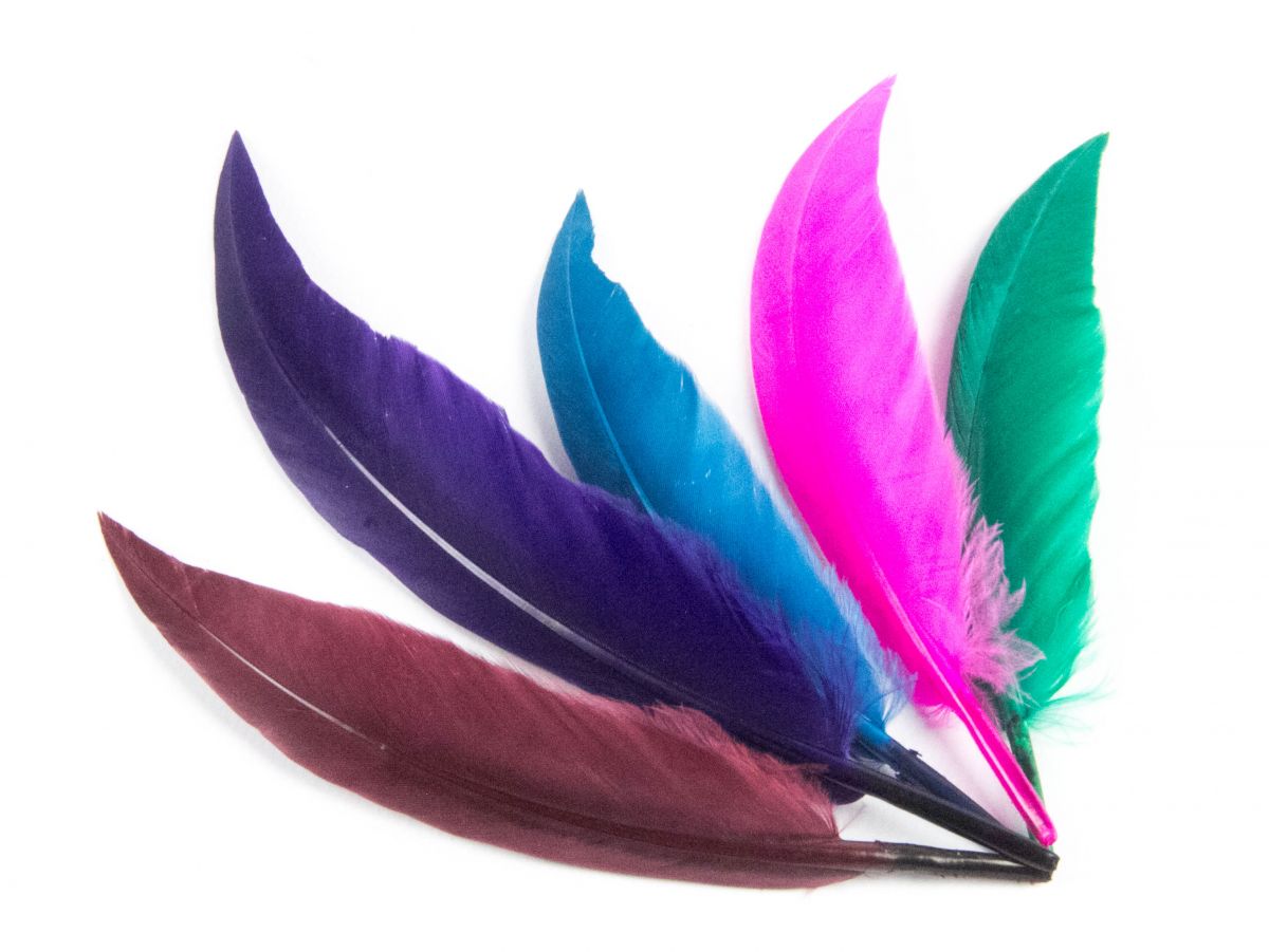 Dyed Goose Swords (Packs of 10)