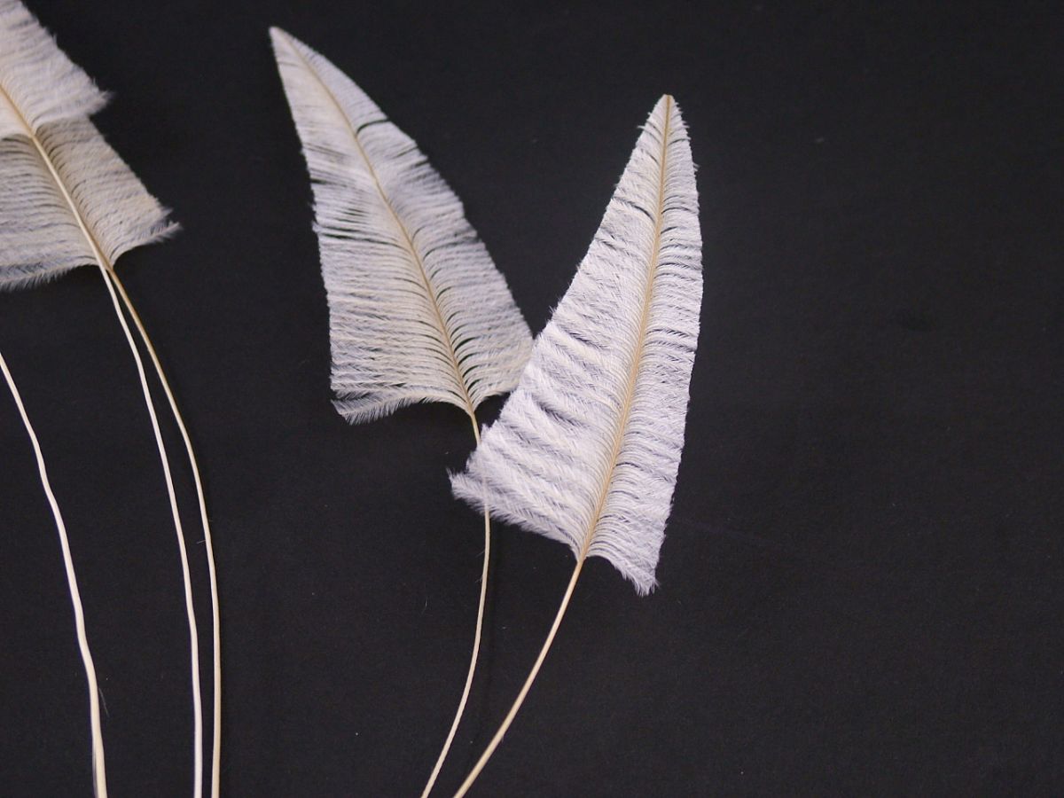 Stripped Ostrich Feather spray for hats and fascinators