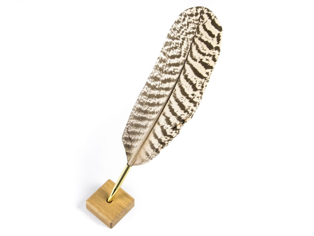 Peacock Wing Feather Deluxe Ballpoint Pen Gift Set