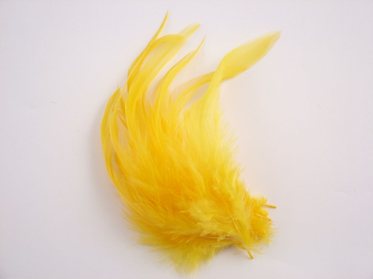 Cockerel Hackle feathers ideal for craft, feather flowers and jewellery